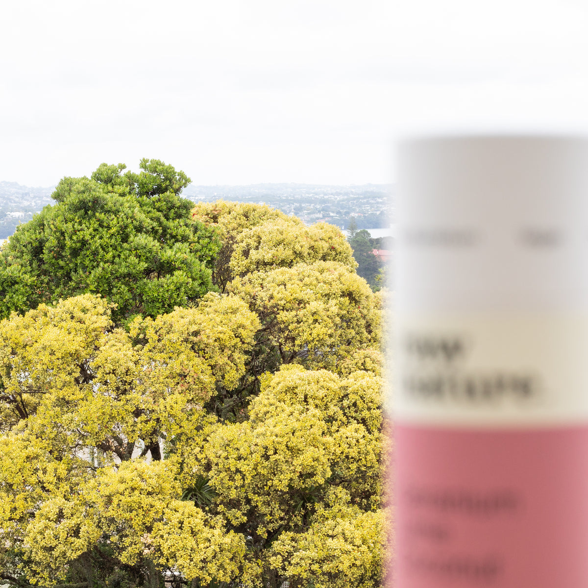 1 PRODUCT = 1 TREE | Raw Nature