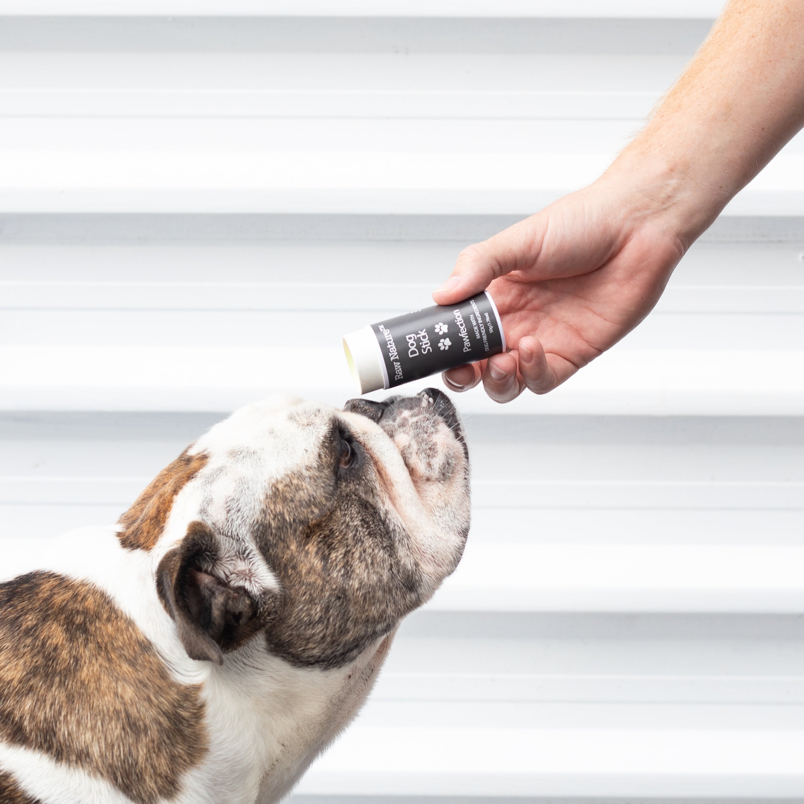 Natural Dog balm – Raw Nature